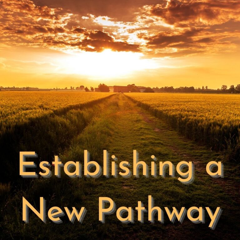 Establishing a New Pathway – HealthImpuls
