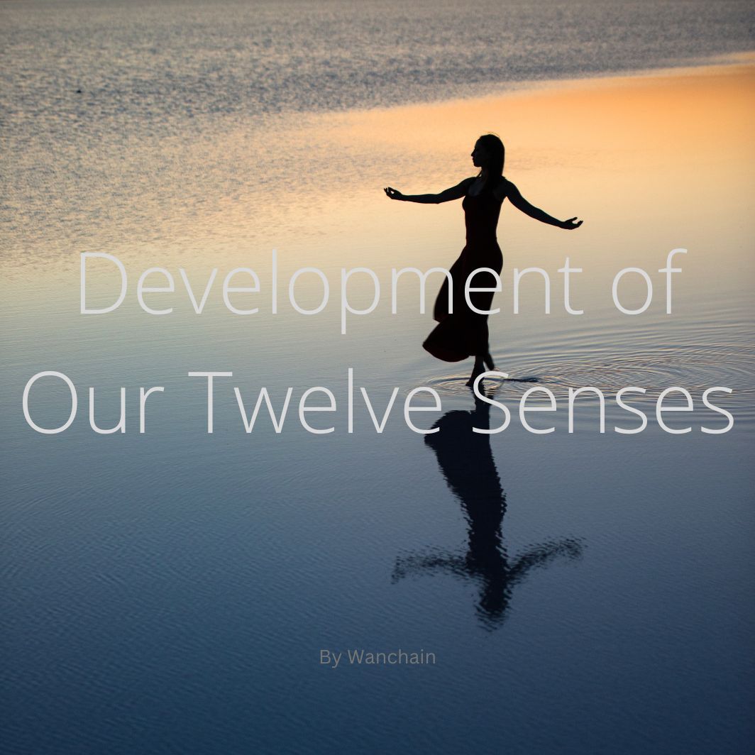 Development of Our Twelve Senses – HealthImpuls